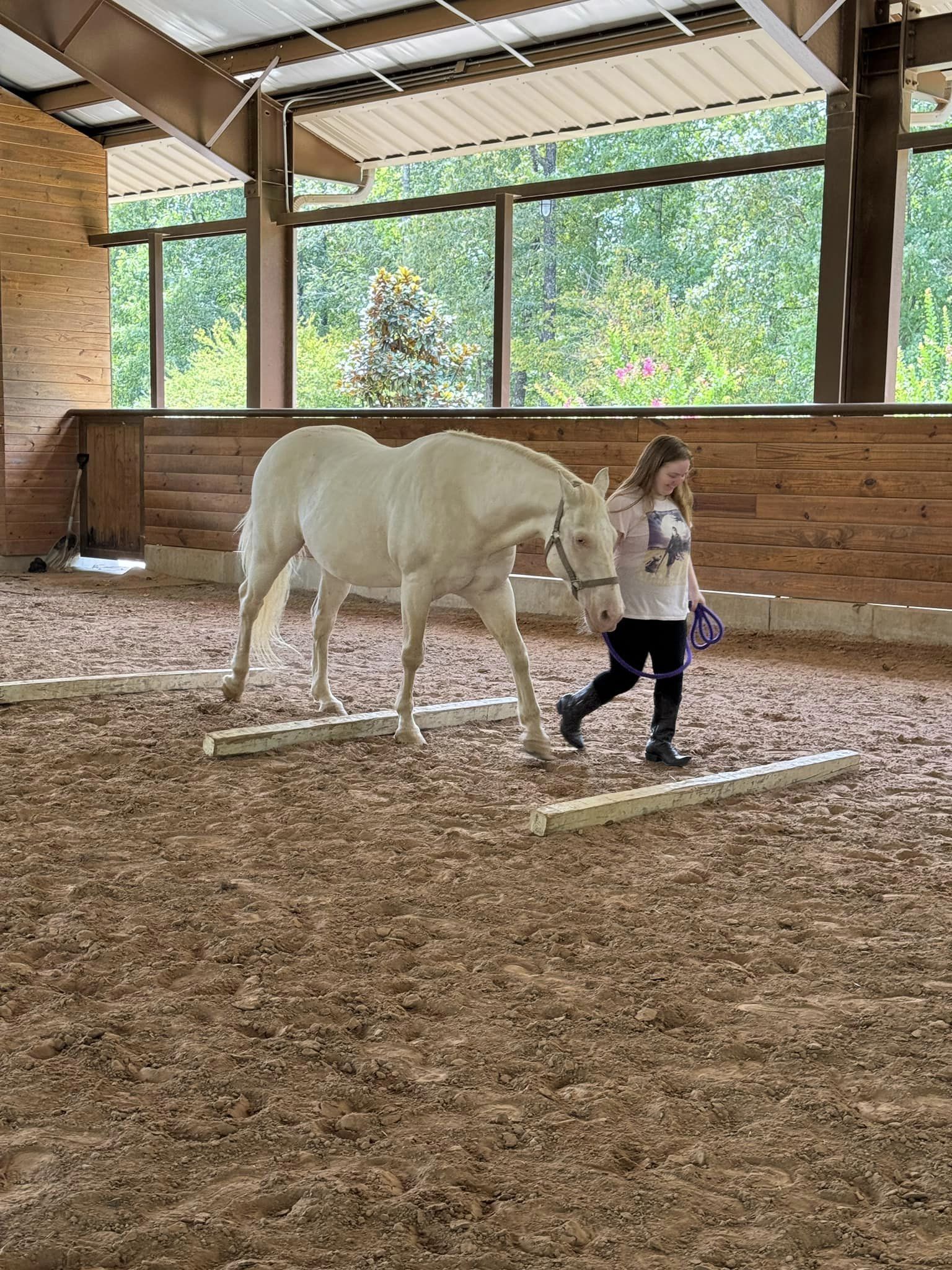 Healing Hooves - Equine Assisted Learning in Little Rock, AR